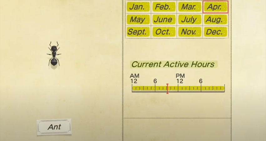 How to Catch Ants in Animal Crossing New Horizons | Gamer Journalist