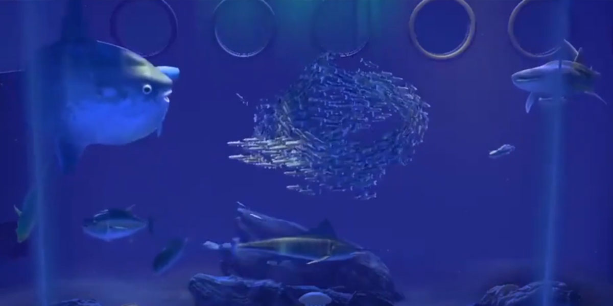 Animal Crossing: New Horizons New Fish in May | Gamer Journalist