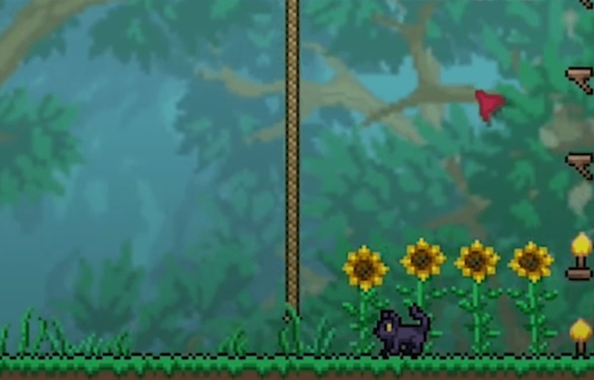 How to get a Cat License and Pet Cat in Terraria Journey's End