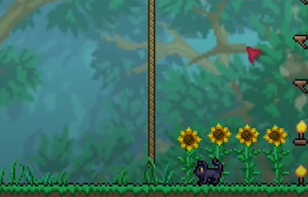 How to get a Cat License and Pet Cat in Terraria Journey's End