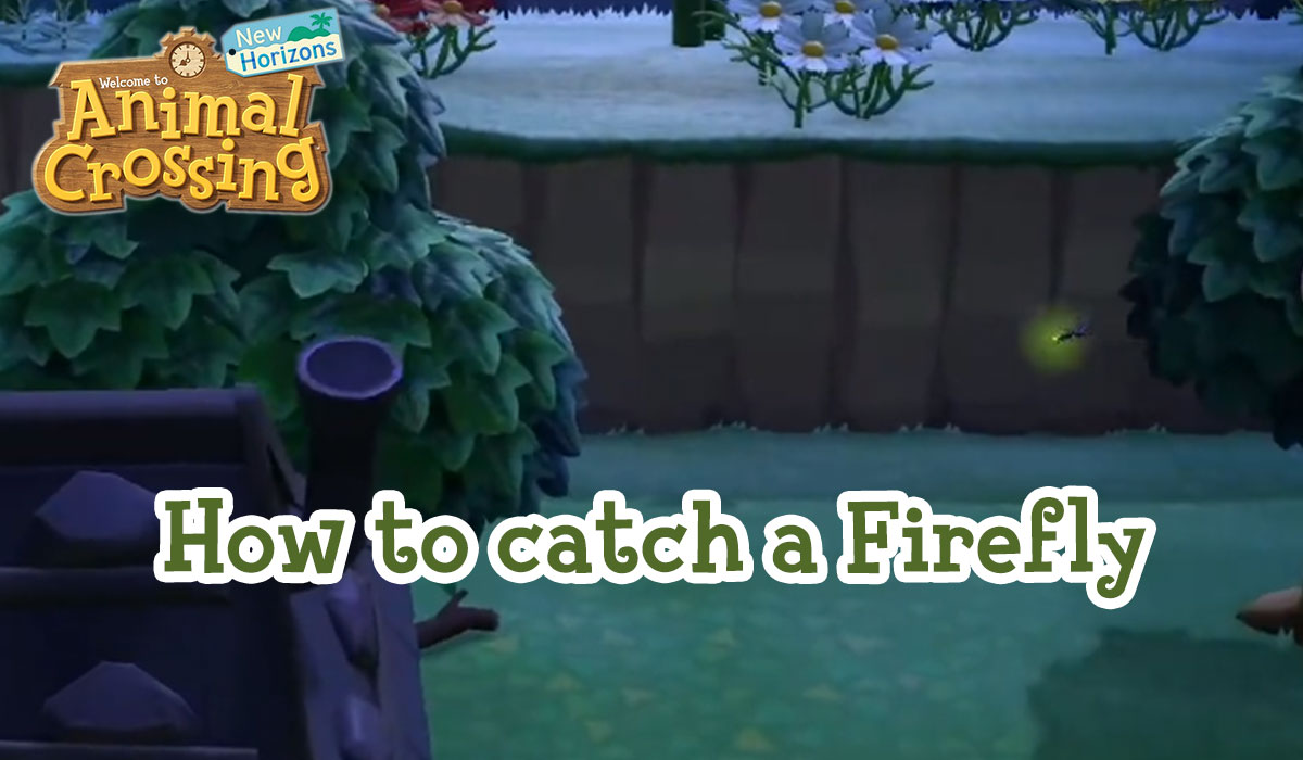 How to catch a Firefly in Animal Crossing New Horizons
