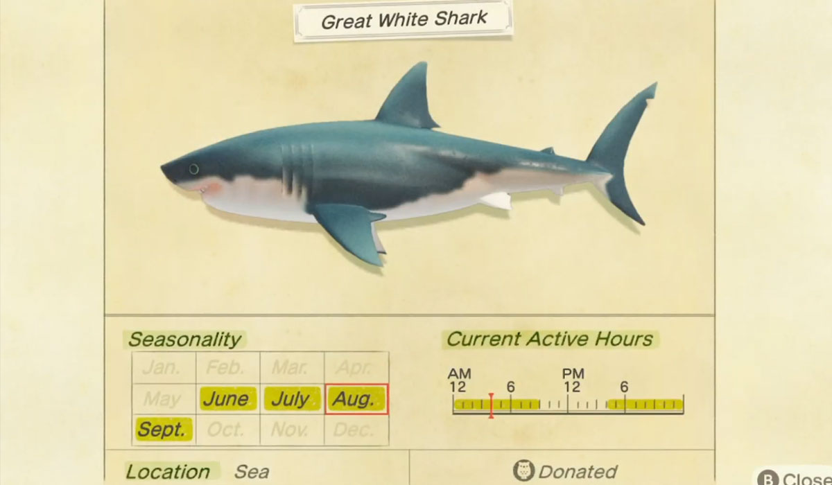 How to catch a Great White Shark in Animal Crossing New Horizons