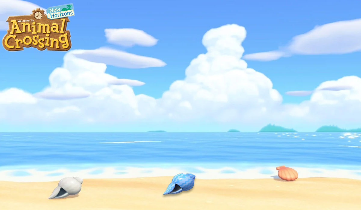 How to get Summer Shells in Animal Crossing New Horizons