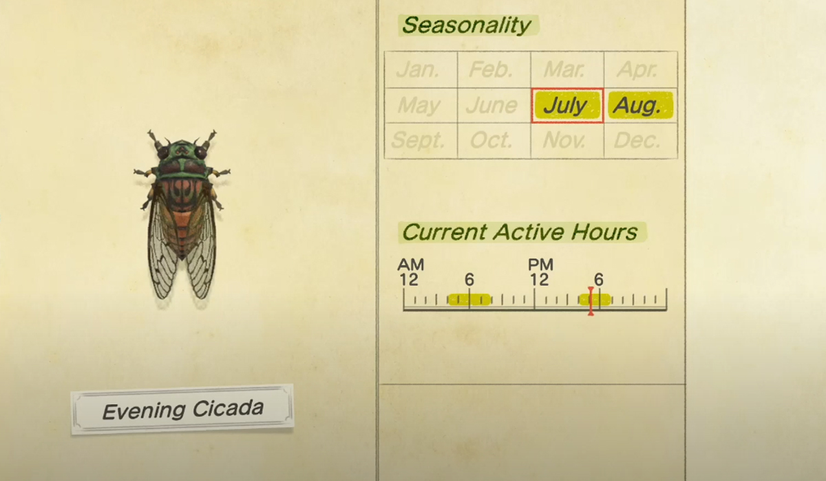 How to catch an Evening Cicada in Animal Crossing New Horizons