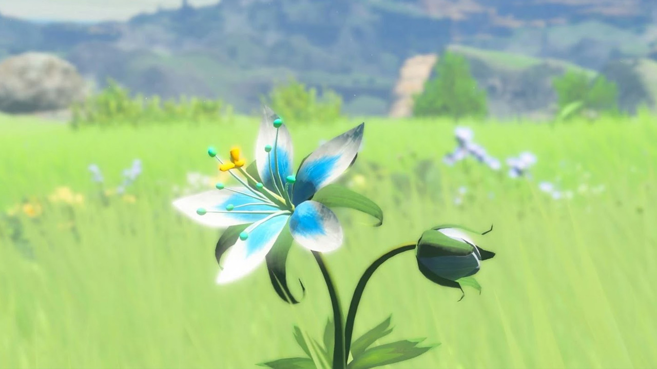 Where to find Silent Princess in Hyrule Warriors: Age of Calamity