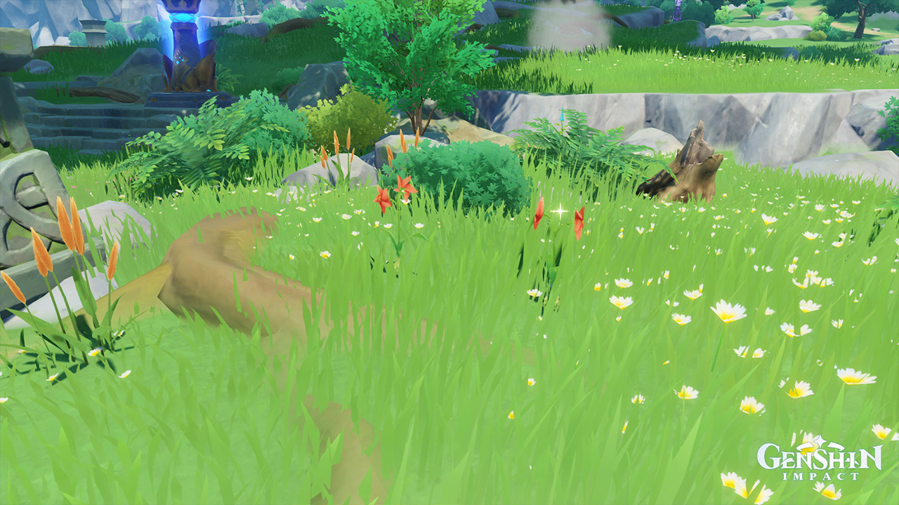 Where to find Windwheel Aster in Genshin Impact | Gamer Journalist