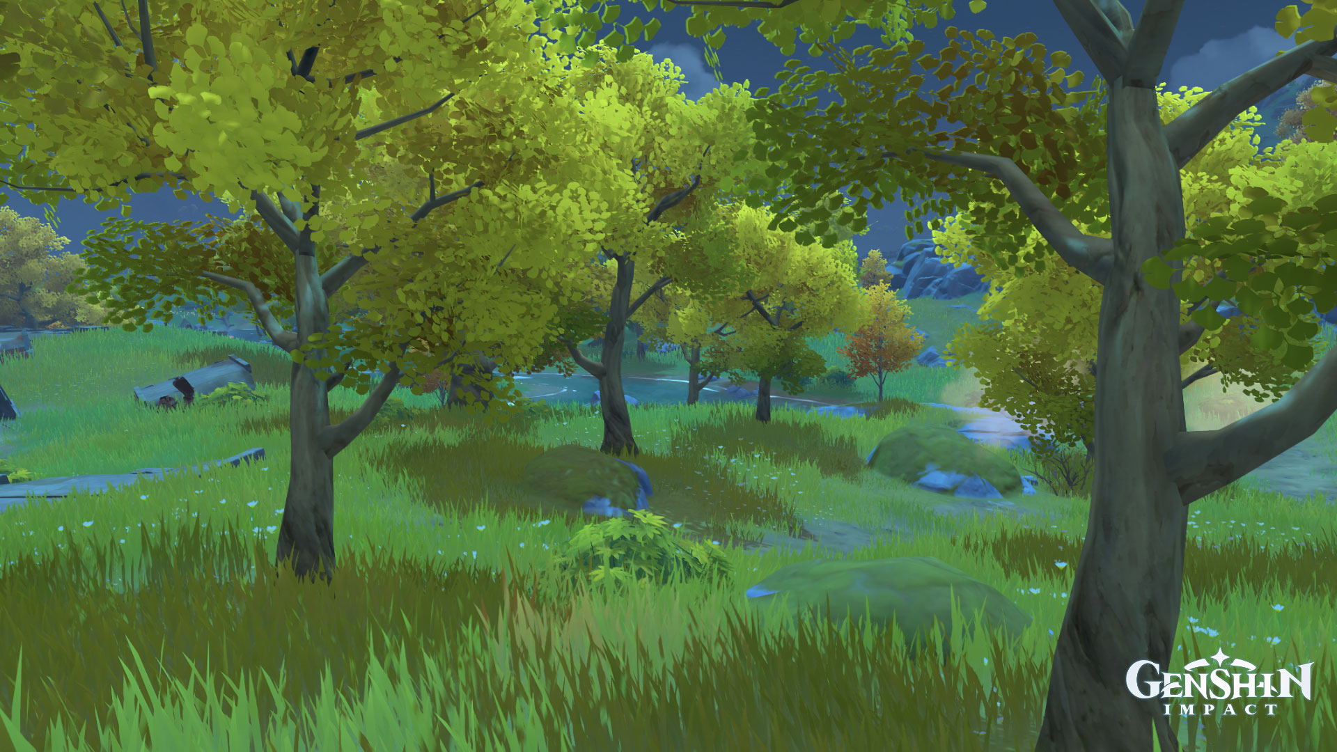 Best Farm Routes for Wood in Genshin Impact | Gamer Journalist