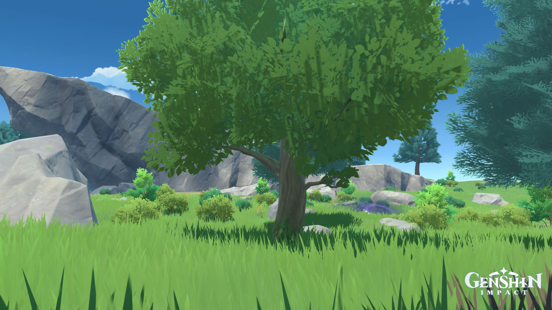 Where to Find All Wood Types in Genshin Impact | Gamer Journalist