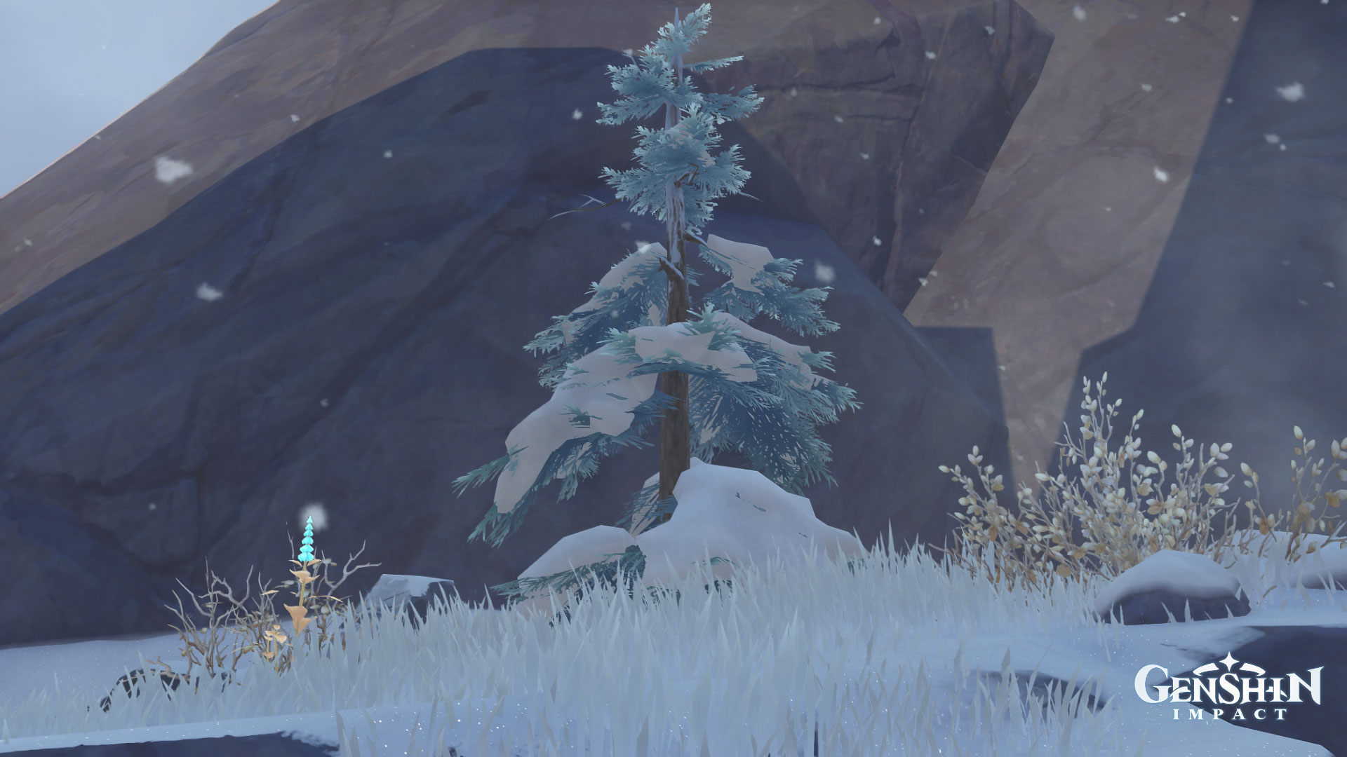 Where to Find All Wood Types in Genshin Impact | Gamer Journalist