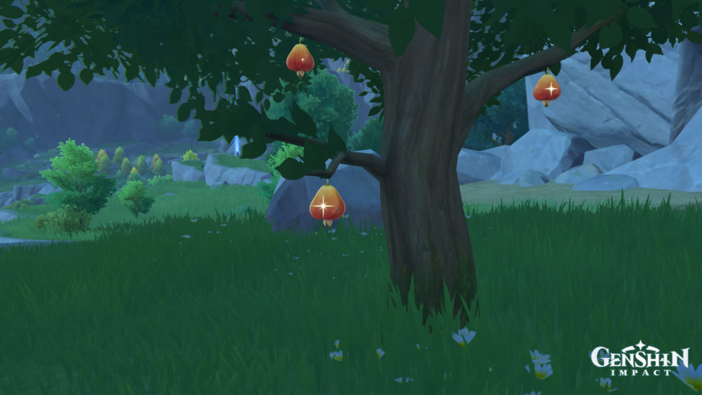 Where to find Sunsettia in Genshin Impact - Gamer Journalist