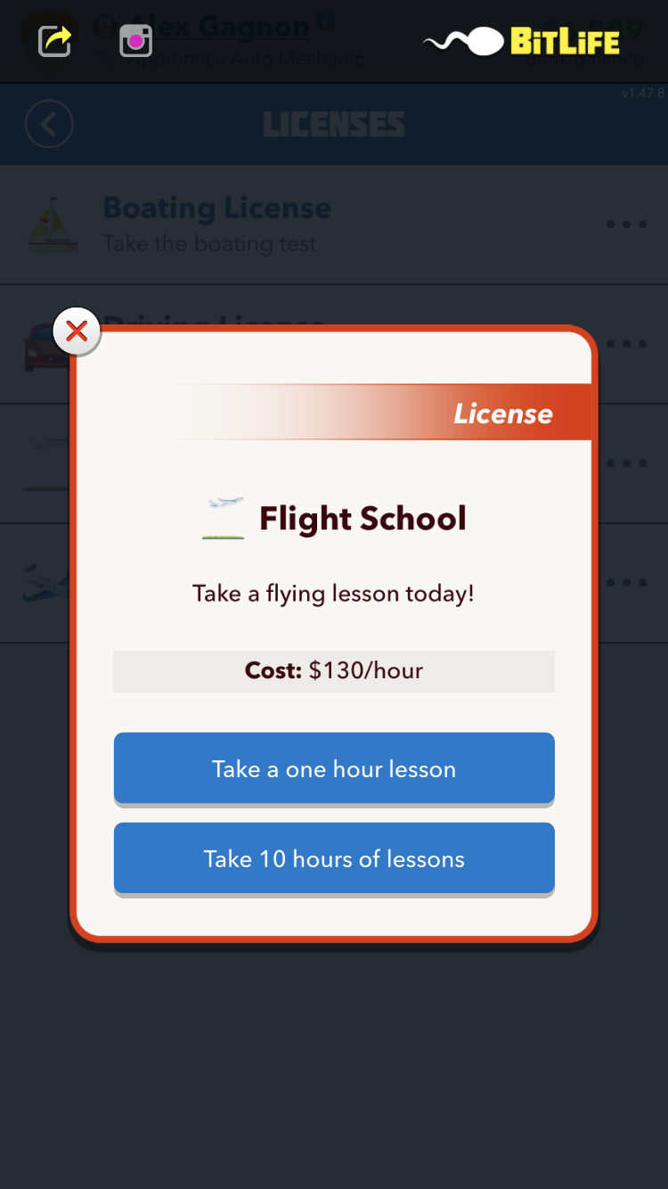 How to Get a Pilot License in BitLife | Gamer Journalist