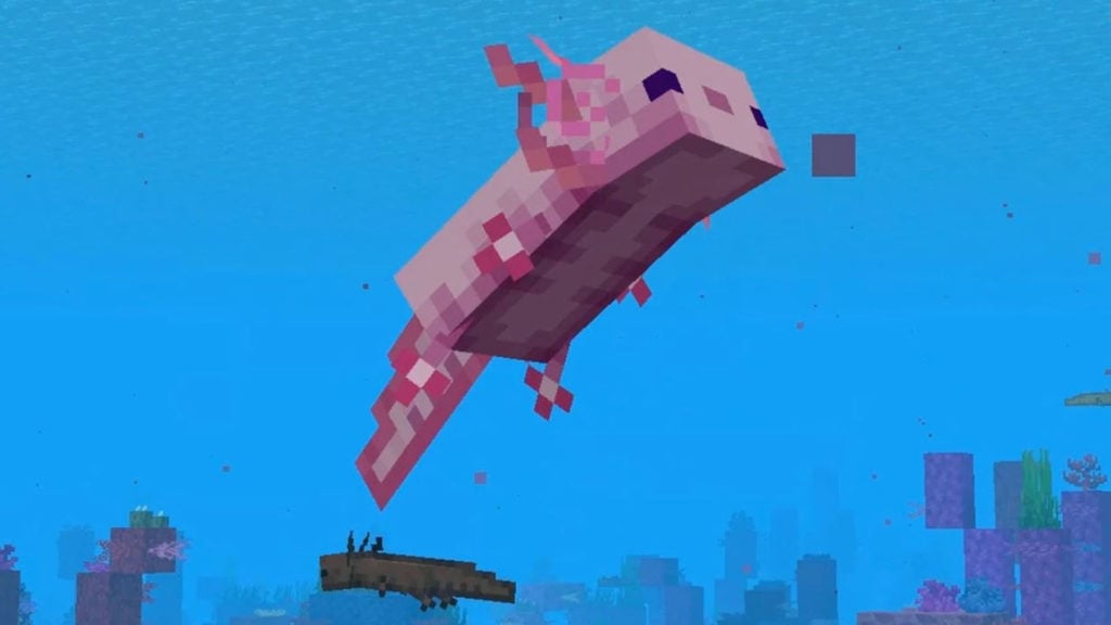 Minecraft Axolotl Colors - Gamer Journalist