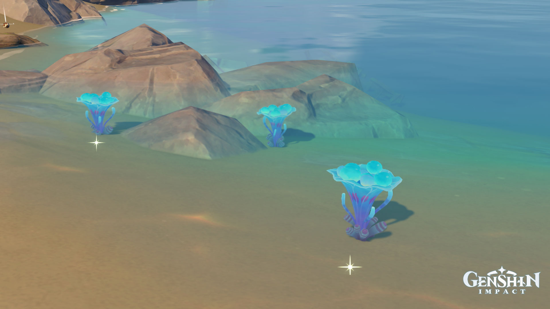 Where to find Sea Ganoderma in Genshin Impact | Gamer Journalist