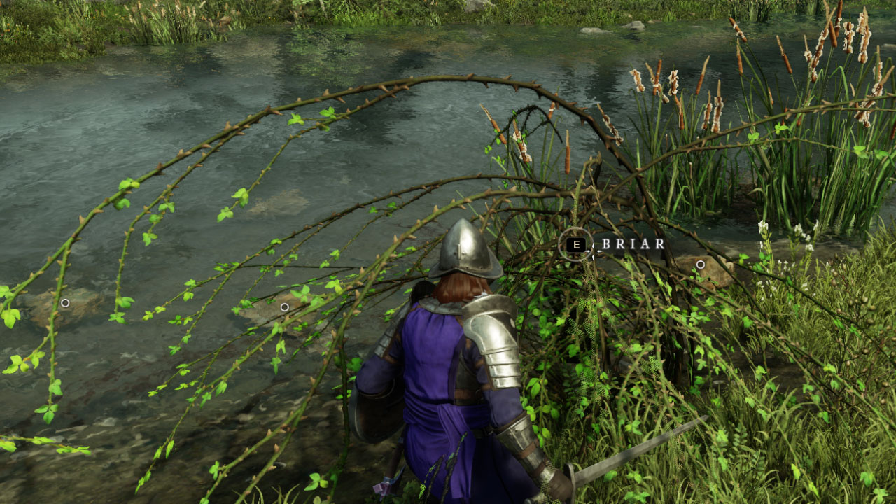 Where to find Briar in New World | Gamer Journalist