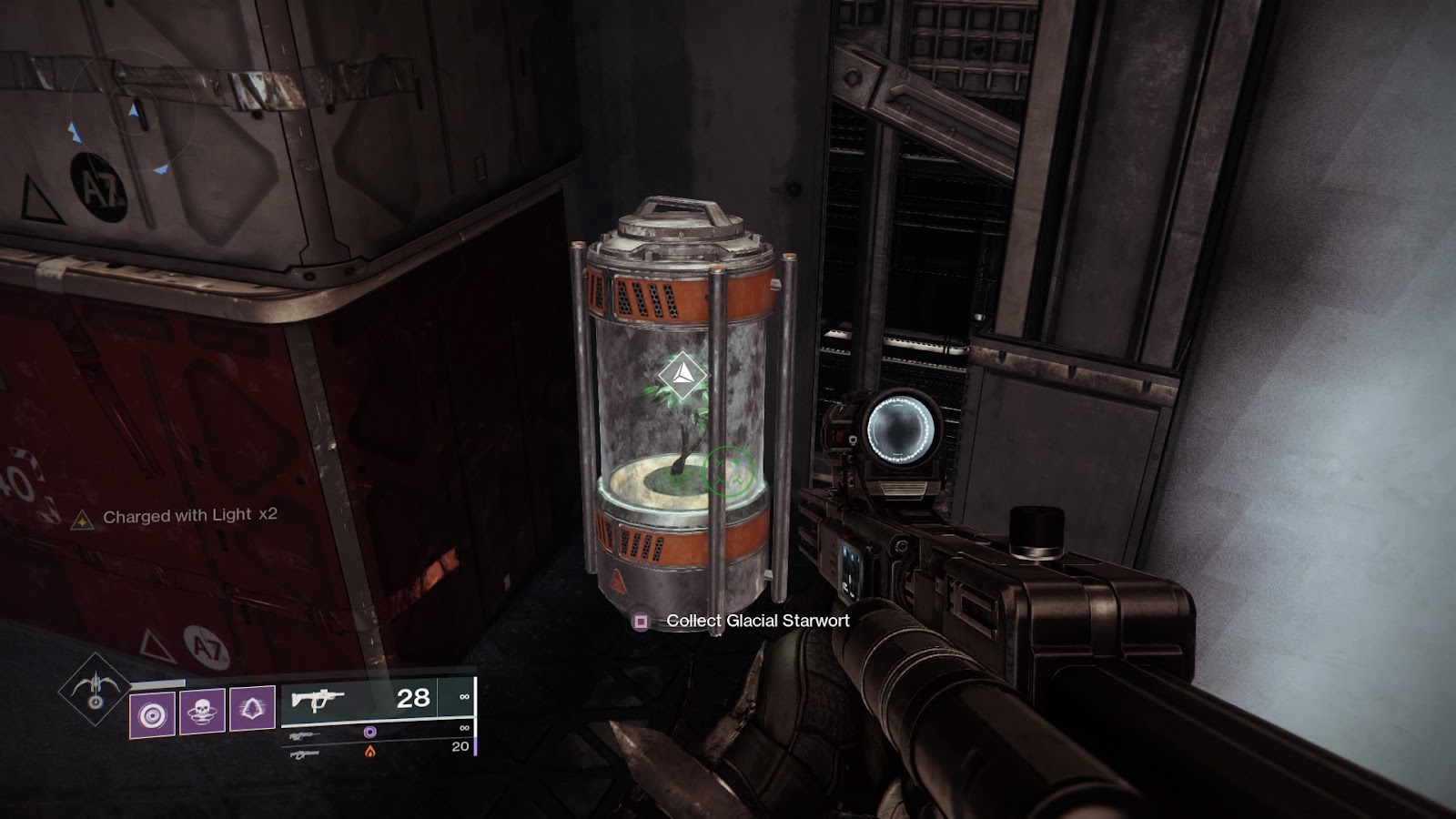 How to Get Glacial Starwort in Destiny 2 | Gamer Journalist