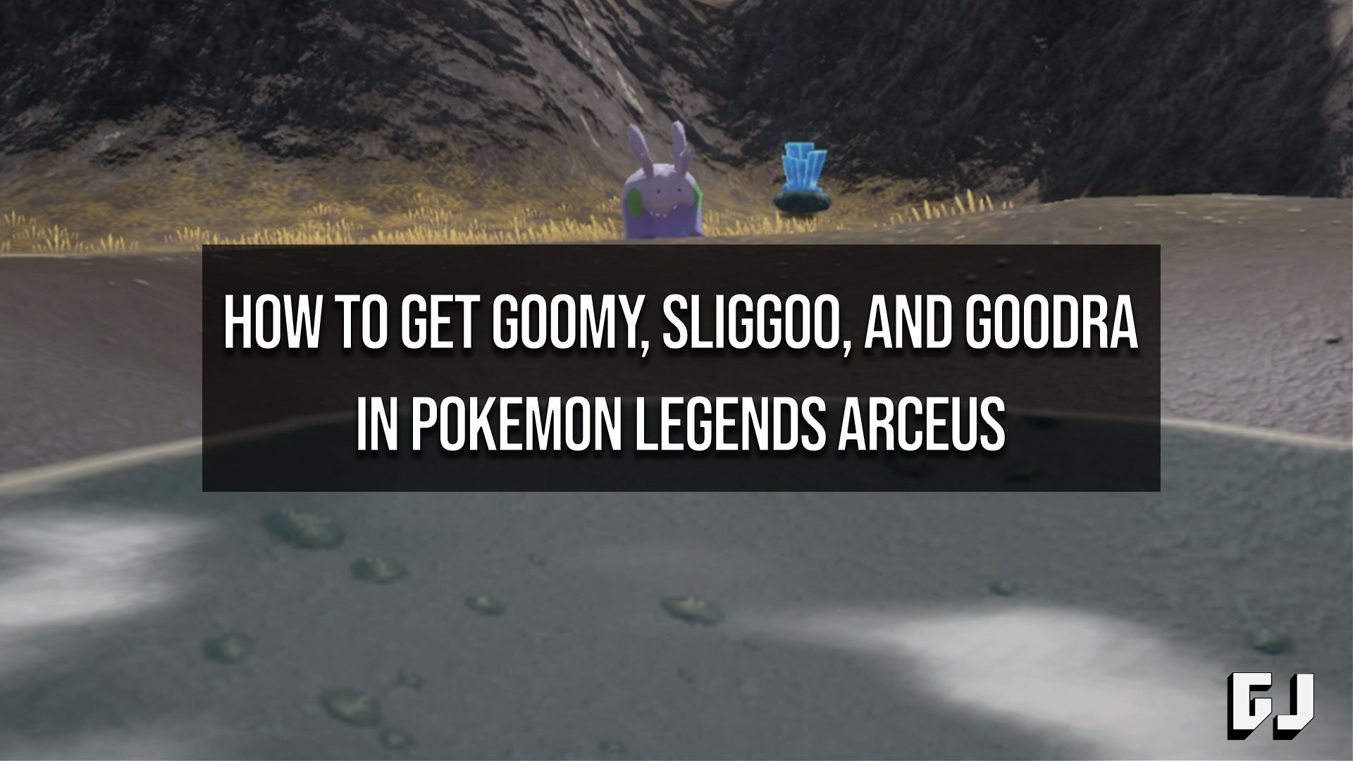 How to Get Goomy in Pokemon Legends Arceus | Gamer Journalist