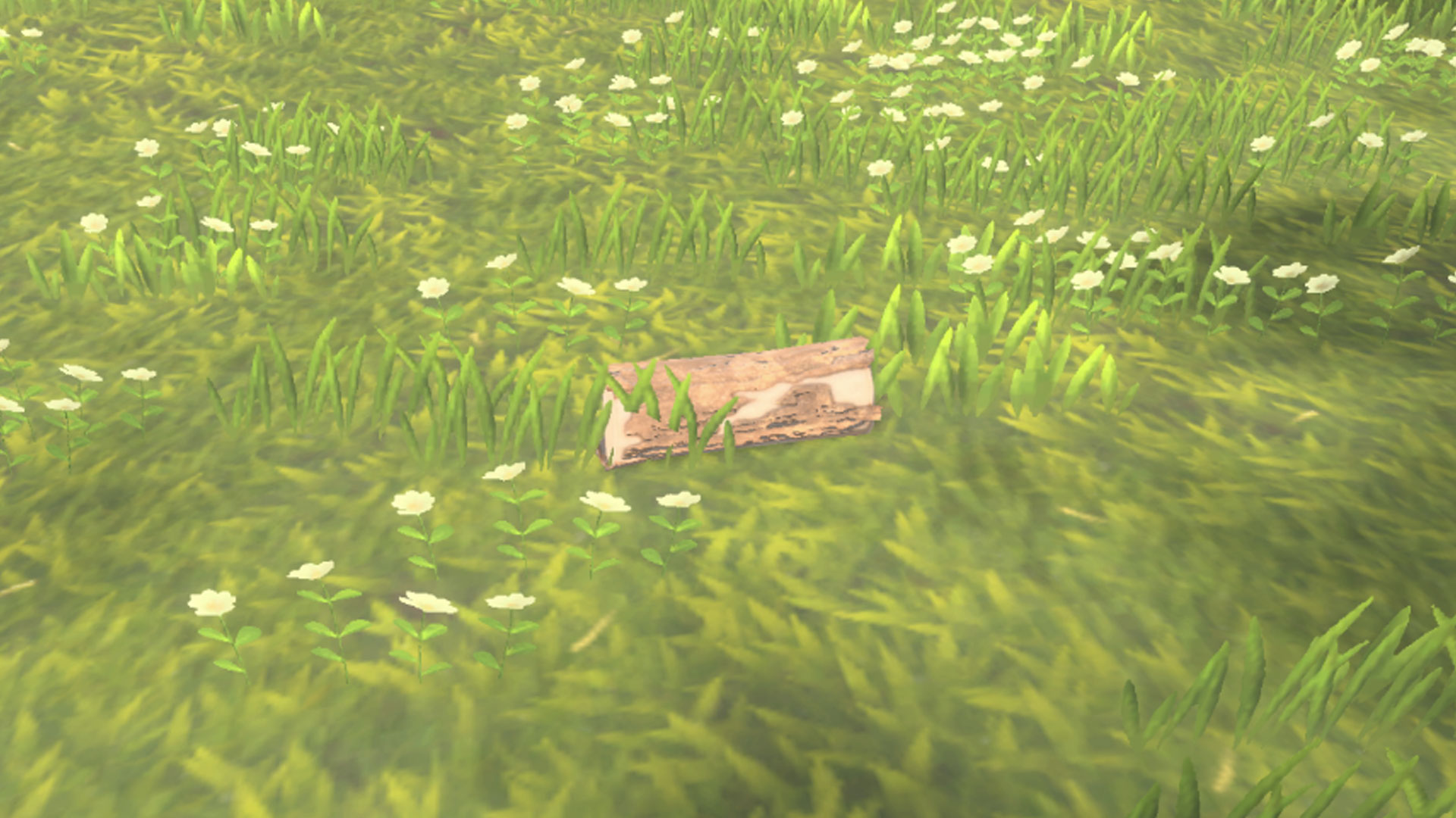 Where to Find Wood in Pokemon Legends Arceus | Gamer Journalist