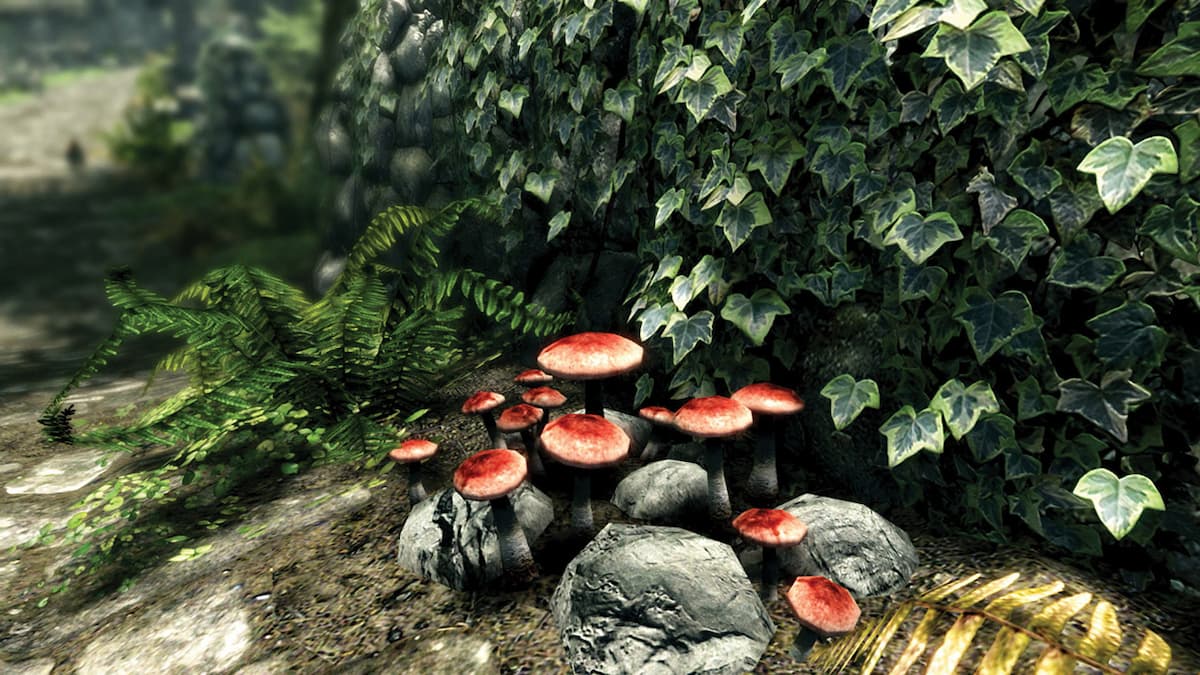 How to Become a Master Alchemist in Elder Scrolls V: Skyrim