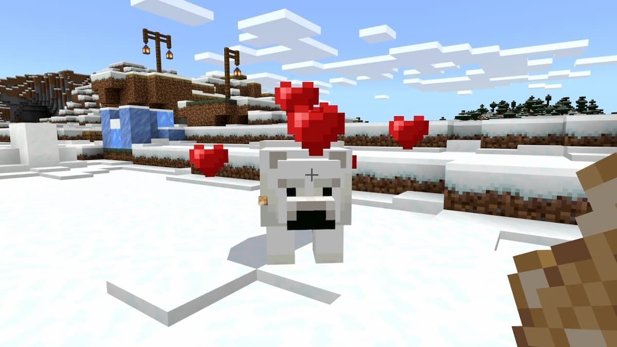 How to Tame Polar Bears in Minecraft | Gamer Journalist