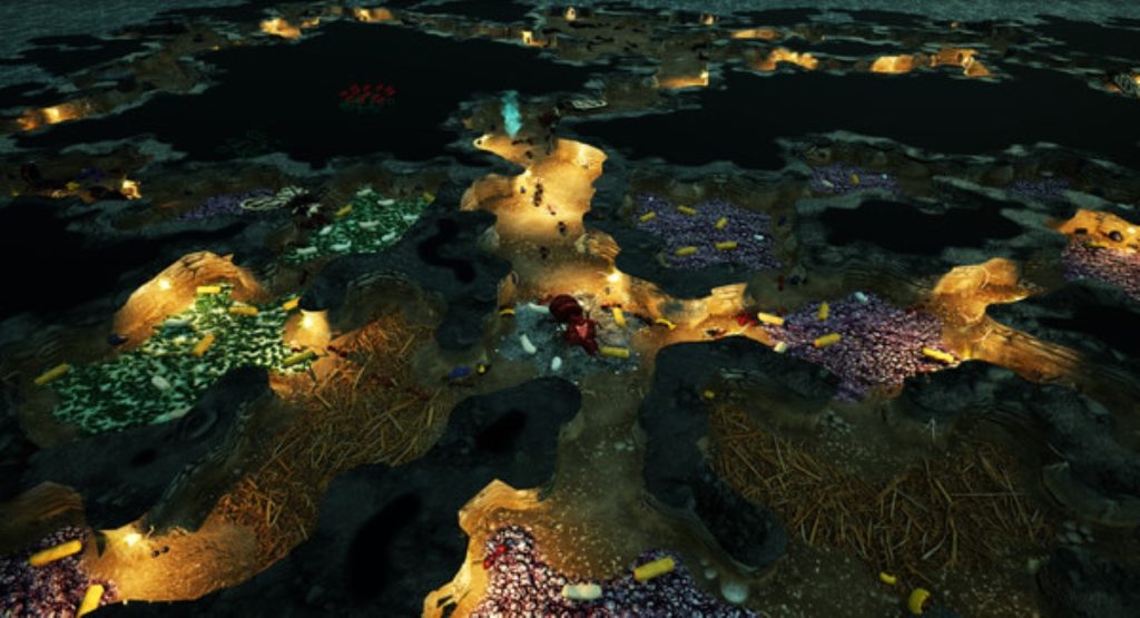 Empires of the Undergrowth: How To Complete All Formicarium Gate ...