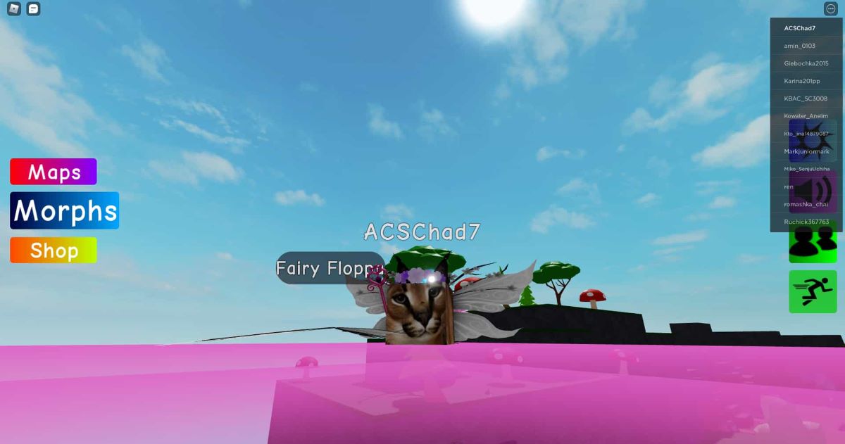 How to Find the Fairy Floppa in Find the Floppa Morphs | Gamer Journalist