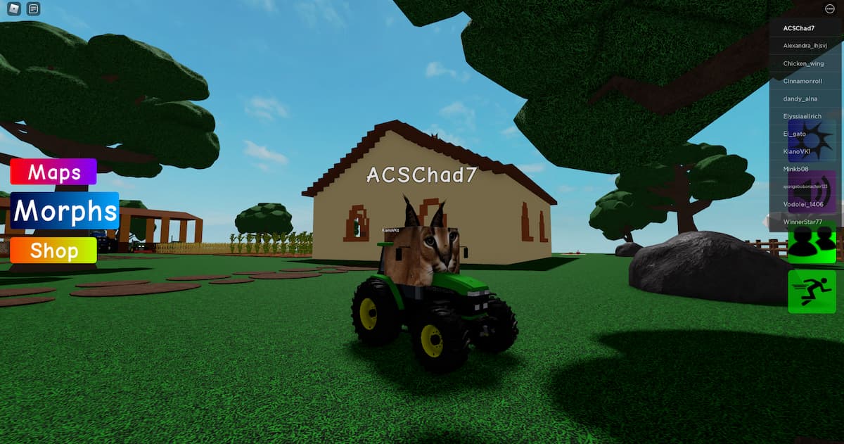 How to find the Tractor Floppa in Find the Floppa Morphs | Gamer Journalist