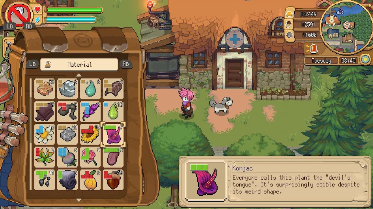 Every Potion Material/Ingredient In Potion Permit and Where to Find ...