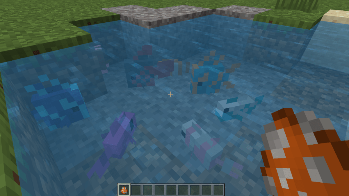 Minecraft: How Many Types of Tropical Fish Are There and How to Breed ...