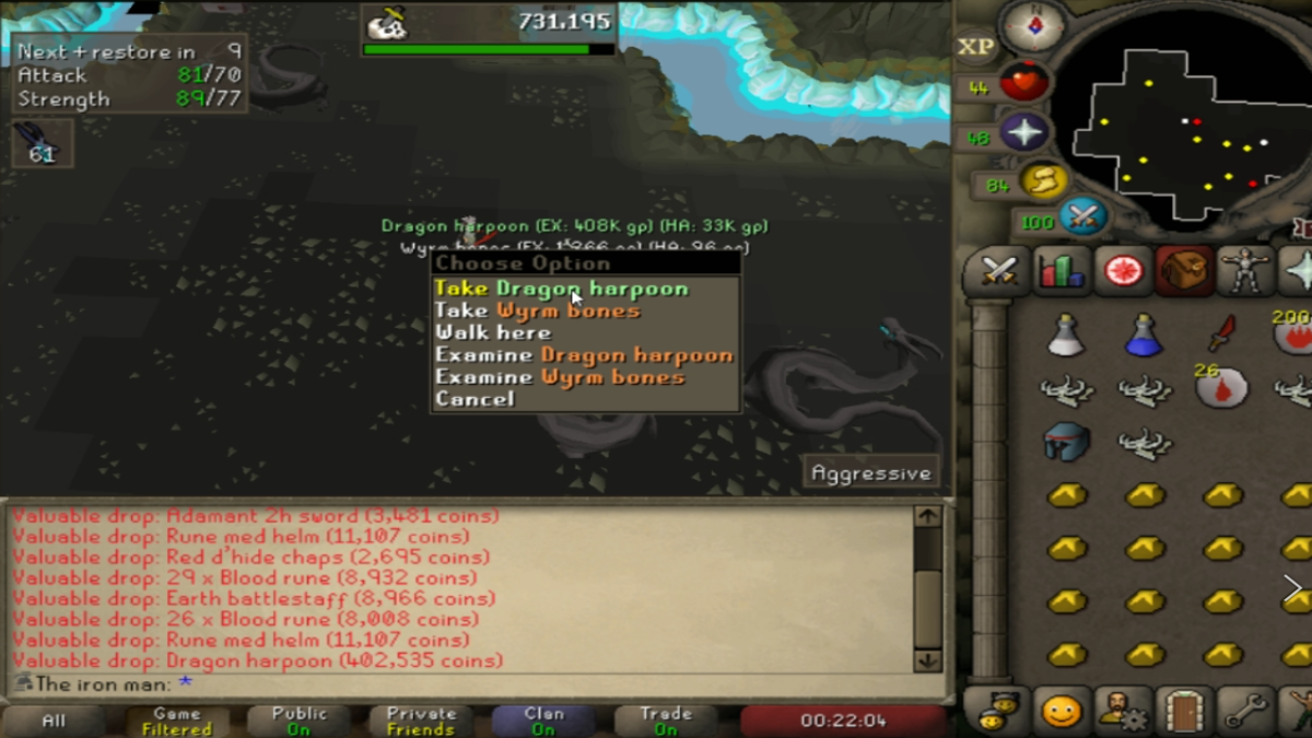 Old School Runescape (OSRS): Wyrm Guide | Gamer Journalist