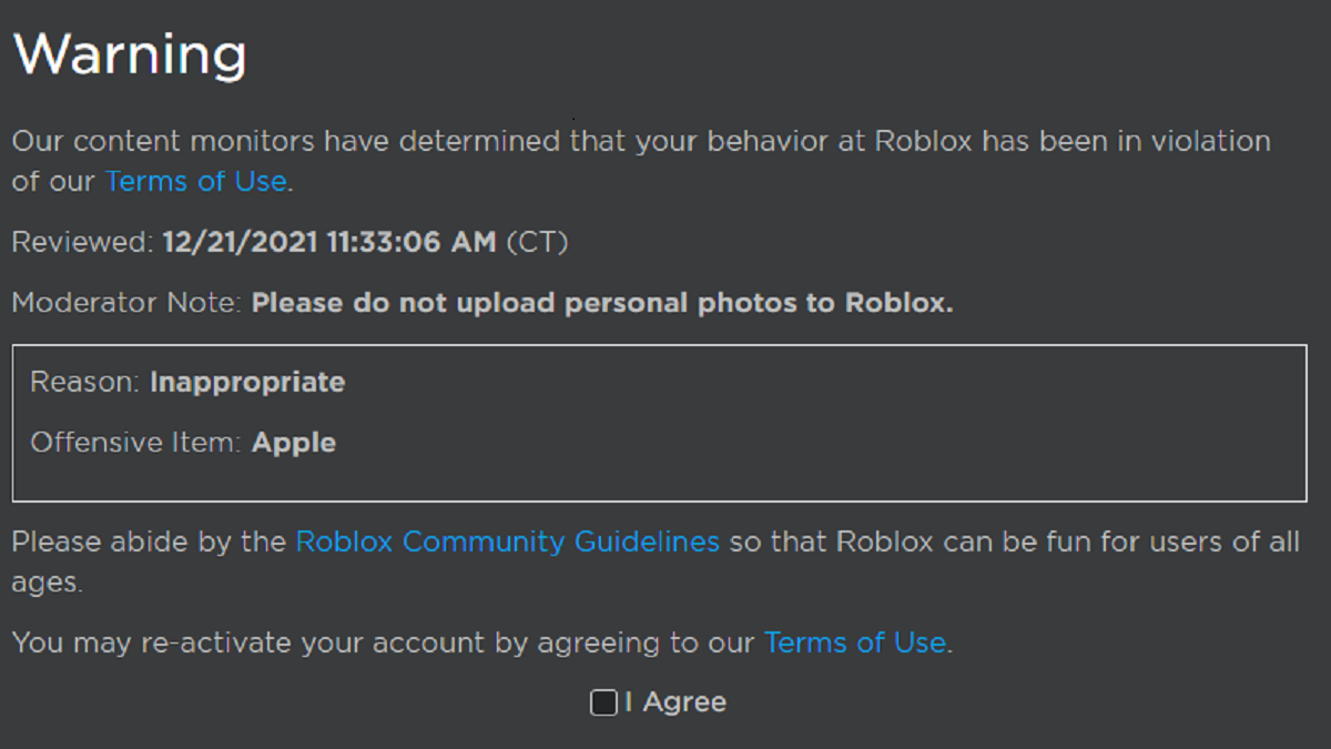 Top 10 Best Dumb Roblox Bans | Gamer Journalist
