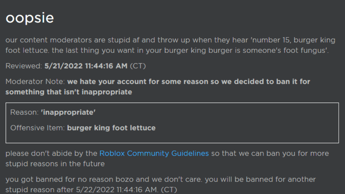 Top 10 Best Dumb Roblox Bans | Gamer Journalist