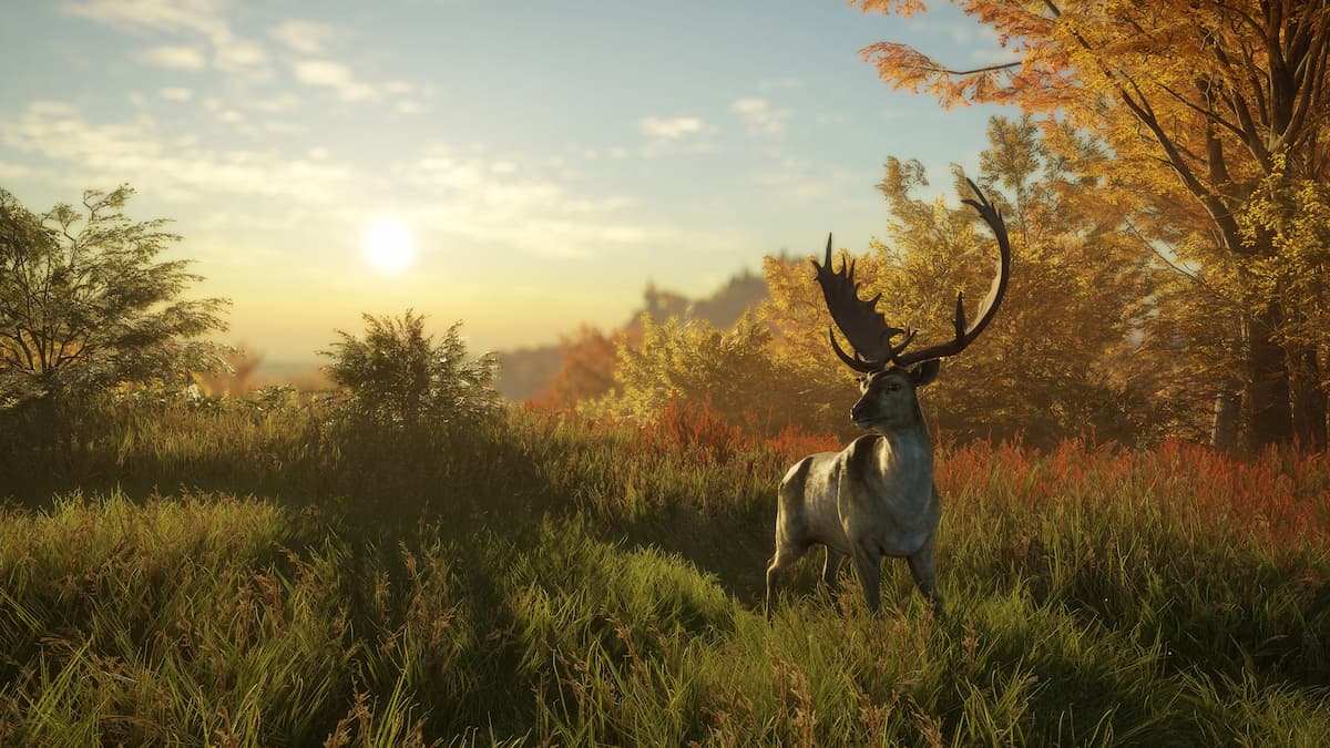 How to Make Money in TheHunter: Call of the Wild (CoTW) | Gamer Journalist