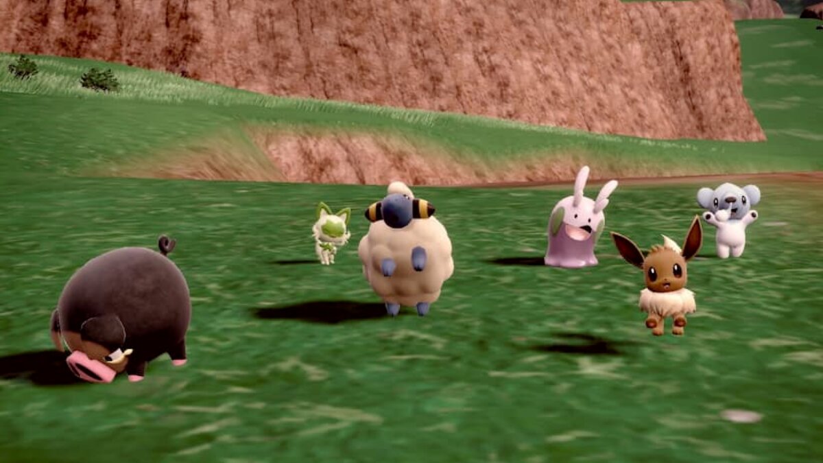 Where to Find Chili Sauce in Pokémon Scarlet and Violet | Gamer Journalist