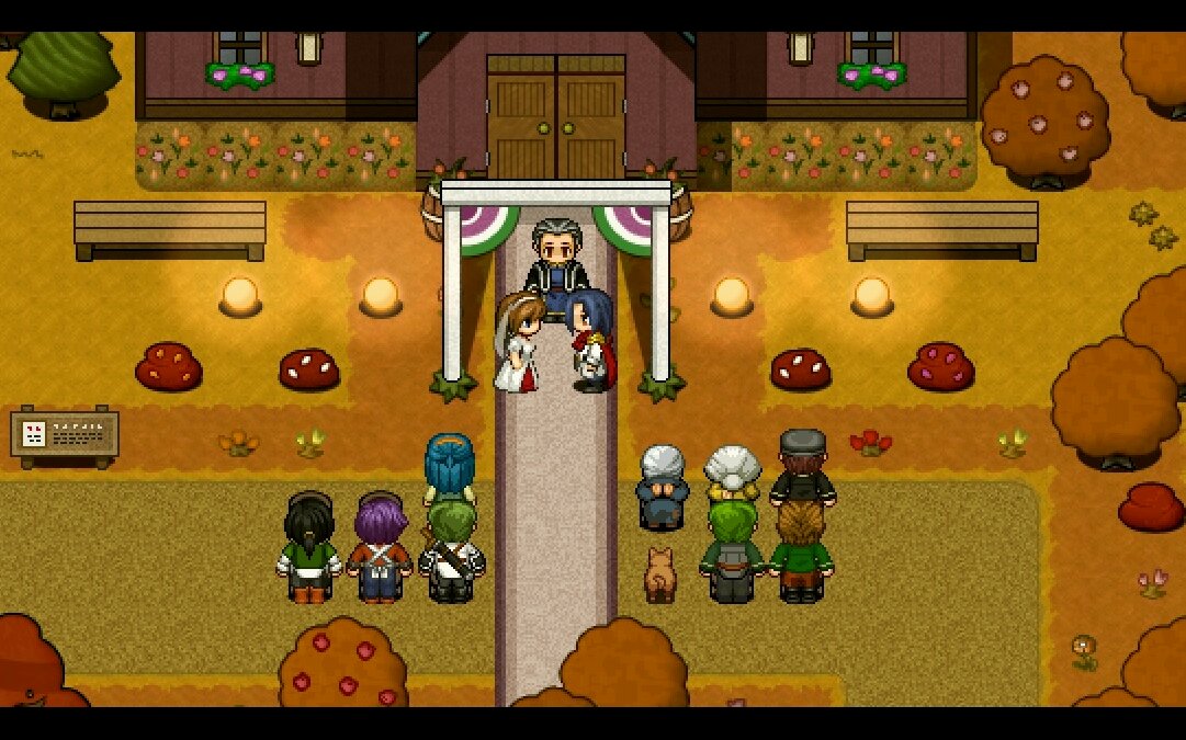 Best Video Games where Players can get Married | Gamer Journalist