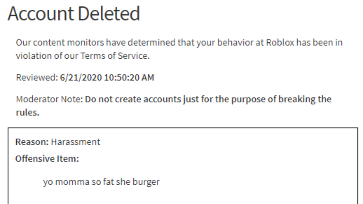 Top 10 Best Dumb Roblox Bans | Gamer Journalist