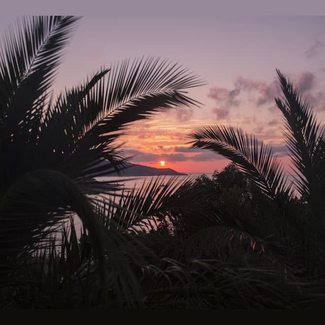 40 Best PFPS to Use for Discord | Gamer Journalist