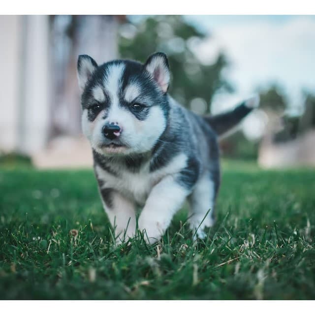 40 Best PFPS to Use for Discord | Gamer Journalist