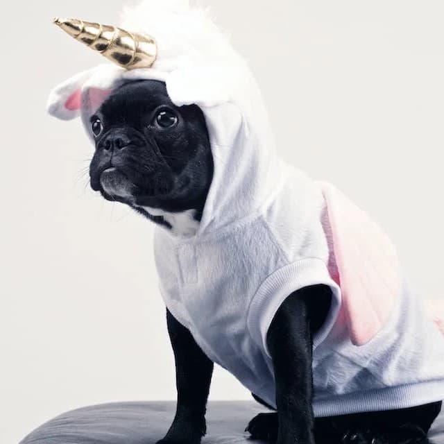 40 Best PFPS to Use for Discord | Gamer Journalist