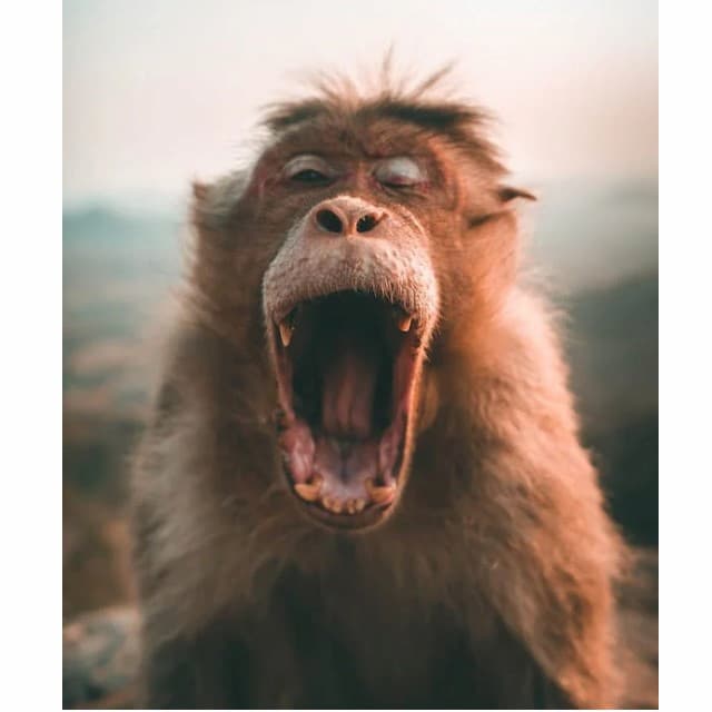 40 Best PFPS to Use for Discord | Gamer Journalist