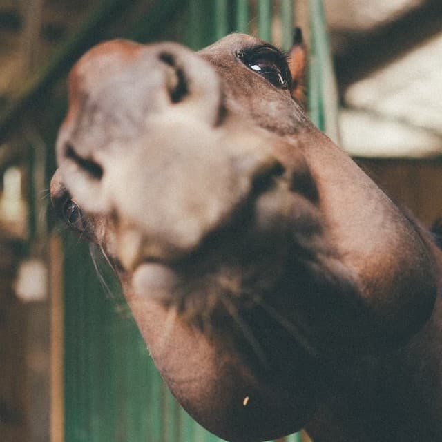 40 Best PFPS to Use for Discord | Gamer Journalist